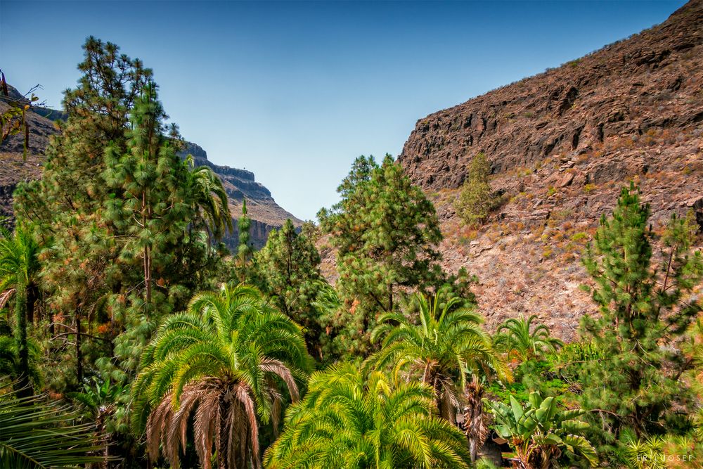 Kanaren0889 Foto & Bild | europe, canary islands die kanaren, spain ...