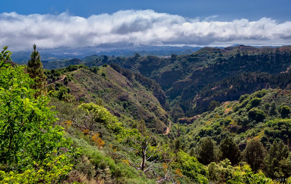 Kanaren0916 Foto & Bild | europe, canary islands die kanaren, spain ...