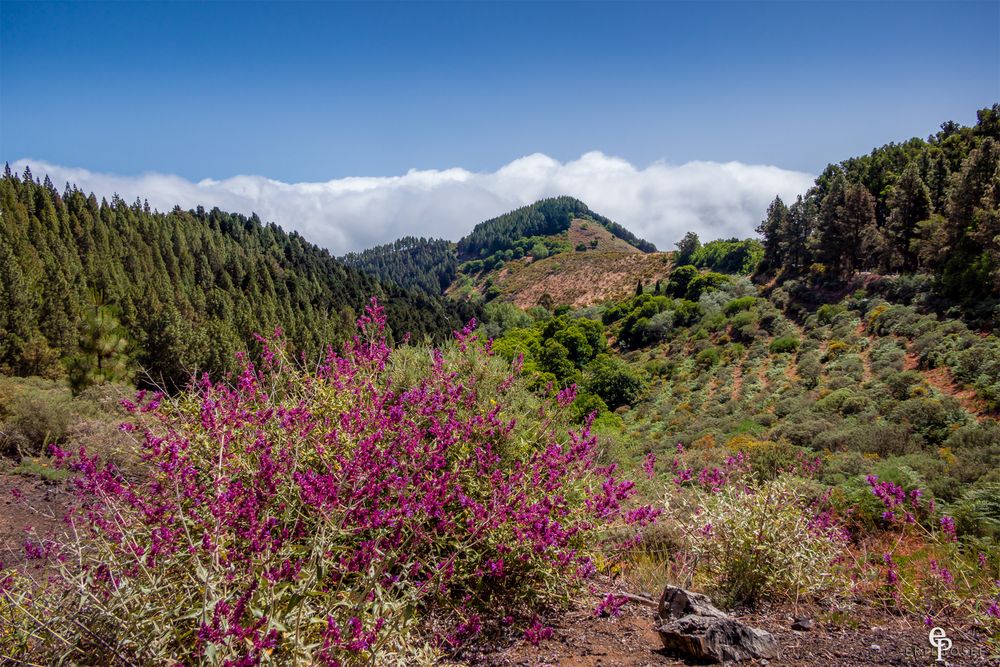 Kanaren0920 Foto & Bild | europe, canary islands die kanaren, spain ...