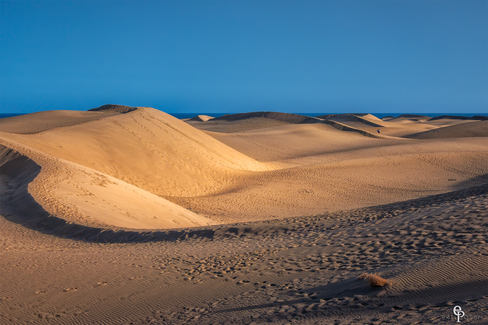 Kanaren0950 Foto & Bild | europe, canary islands die kanaren, spain ...