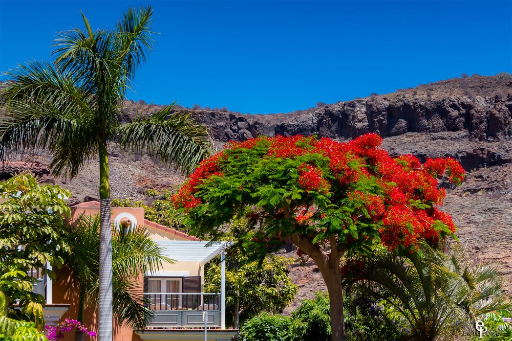 Kanaren0963 Foto & Bild | architektur, europe, canary islands die ...