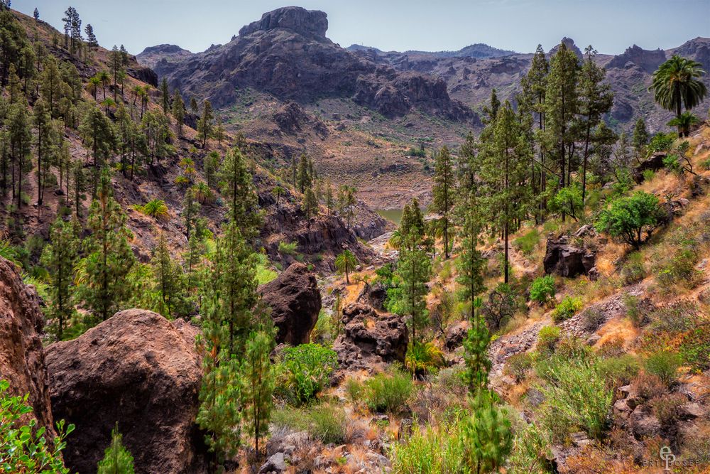Kanaren1024 Foto & Bild | europe, canary islands die kanaren, spain ...