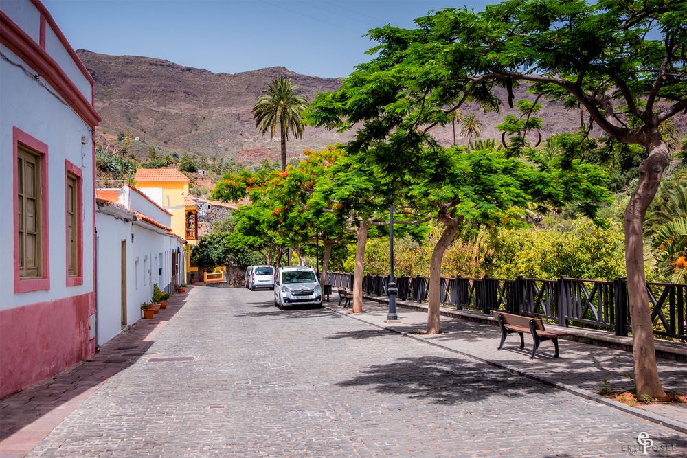 Kanaren1037 Foto & Bild | europe, canary islands die kanaren, spain ...