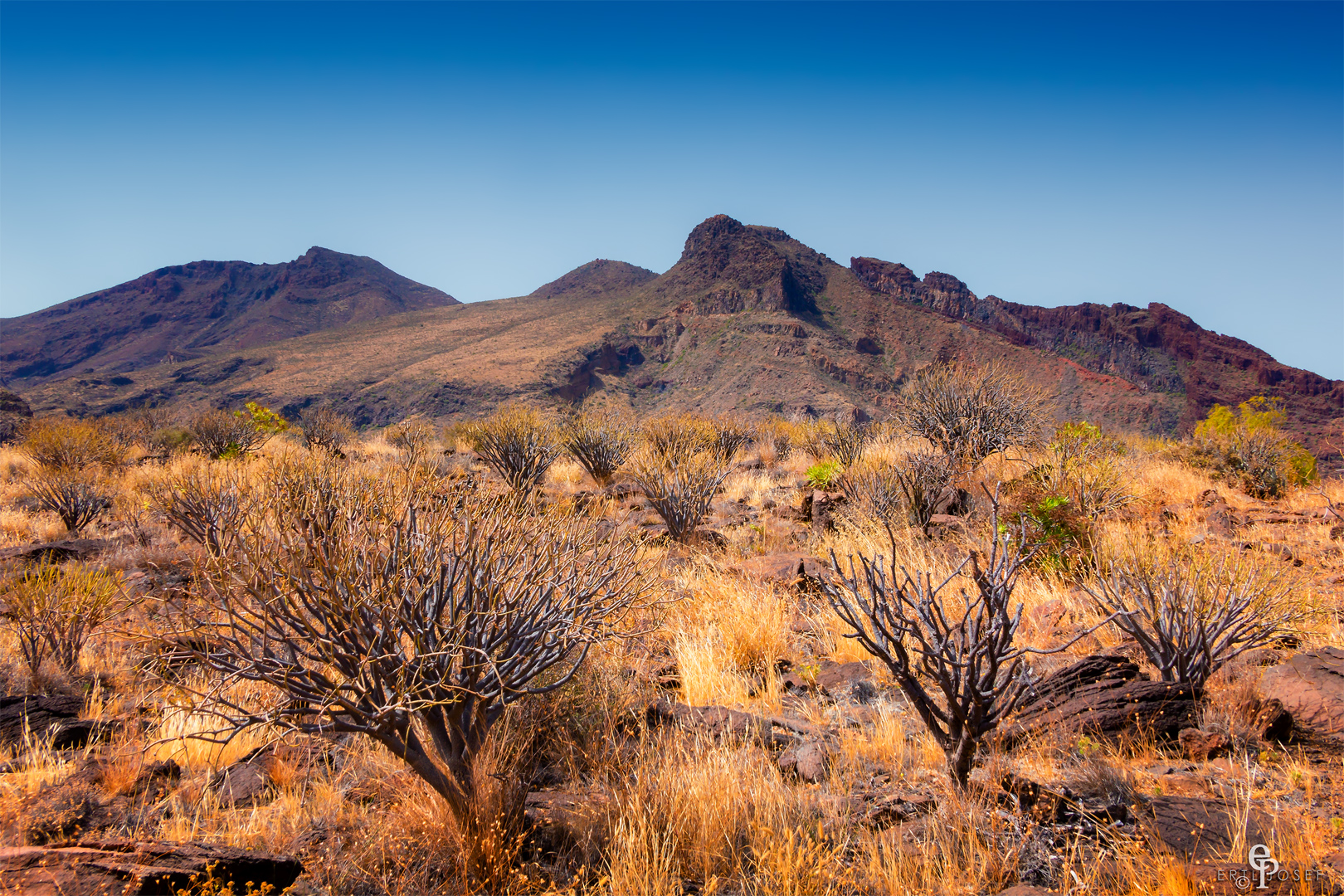 Kanaren1047 Foto & Bild | europe, canary islands die kanaren, spain ...