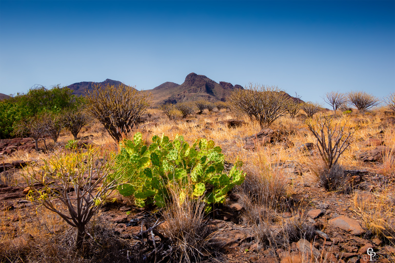Kanaren1048 Foto & Bild | europe, canary islands die kanaren, spain ...