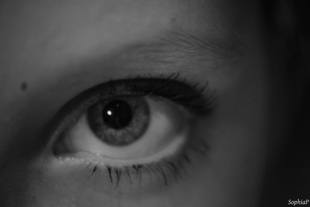 Kann man ihm trauen? Foto & Bild | photography, weiß, sw Bilder auf ...