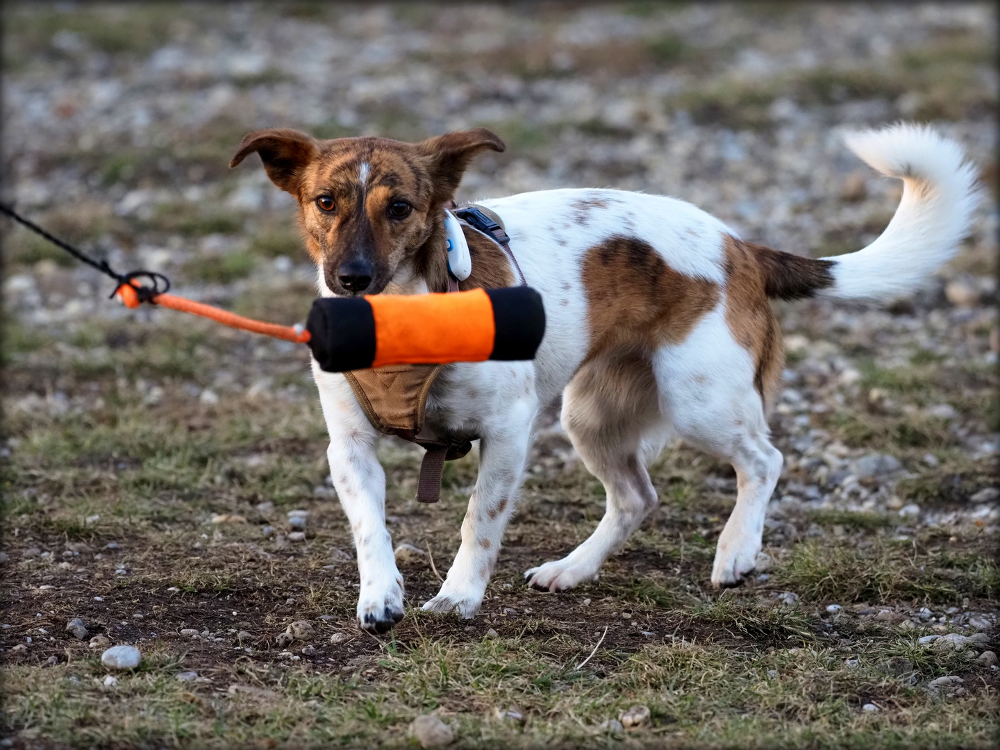 kann sich nur noch um Stunden handeln ;-) Foto & Bild | quatsch, fun ...