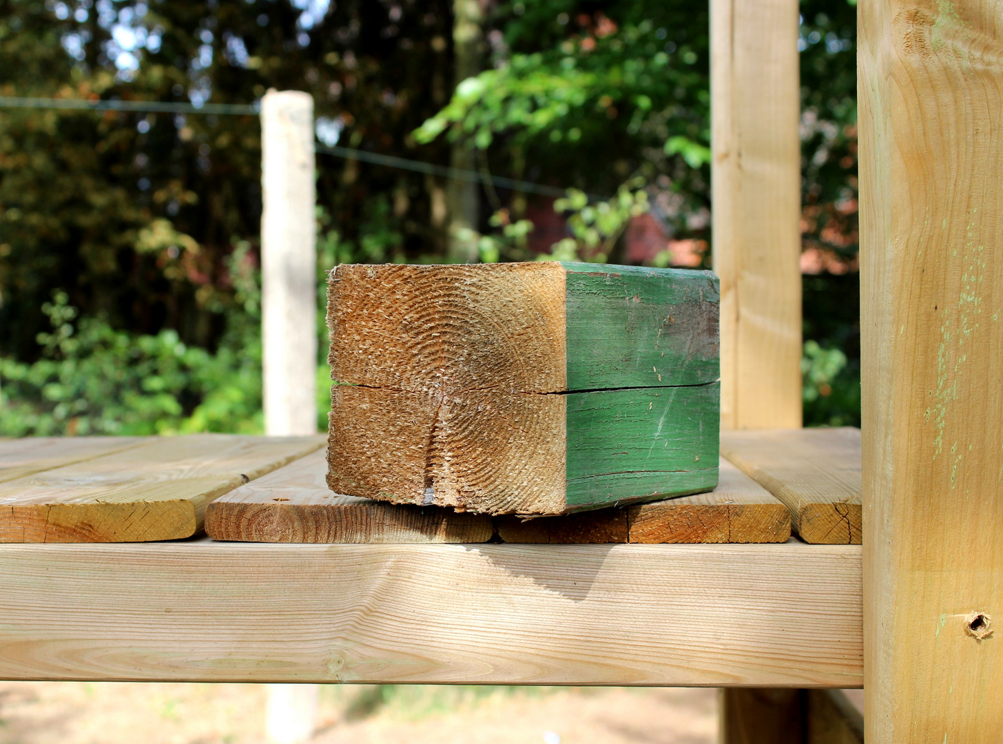 kantig ... Foto & Bild | outdoor, bäume, baum Bilder auf fotocommunity