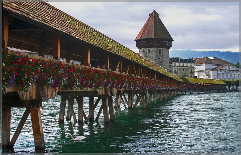 Kapellbrücke Foto & Bild | europe, schweiz & liechtenstein, kt. luzern ...