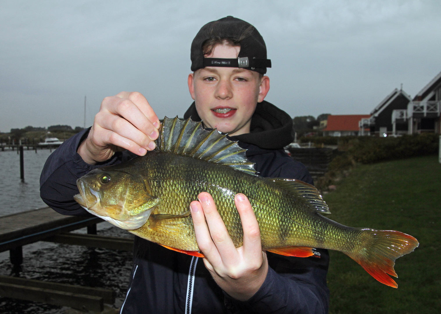 Kapitaler Flussbarsch Foto & Bild | europe, scandinavia, denmark Bilder ...