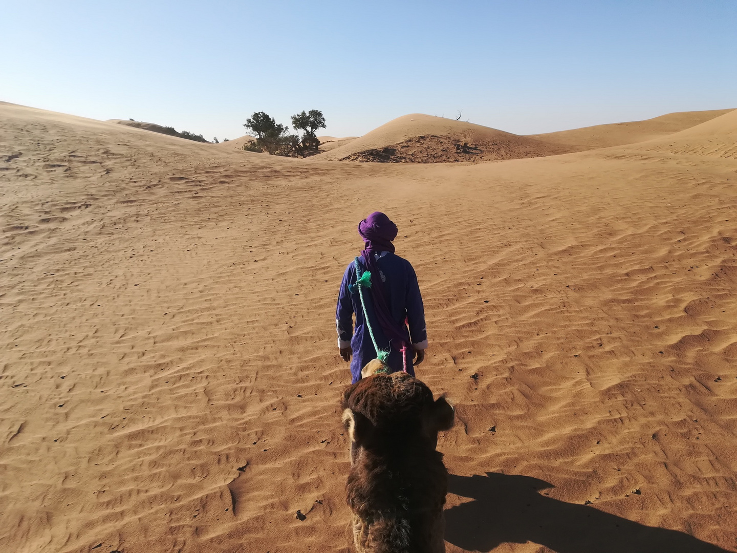 Karawane Foto & Bild | africa, morocco, north africa Bilder auf ...