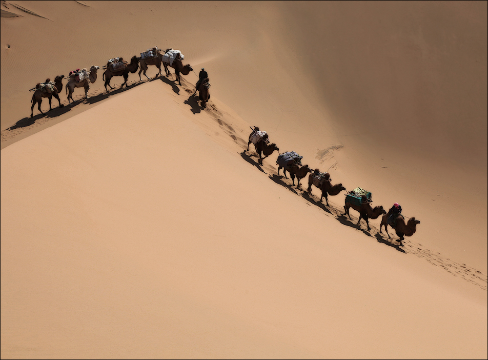 KARAWANE Foto & Bild | landschaft, wüste, gobi (china) Bilder auf ...