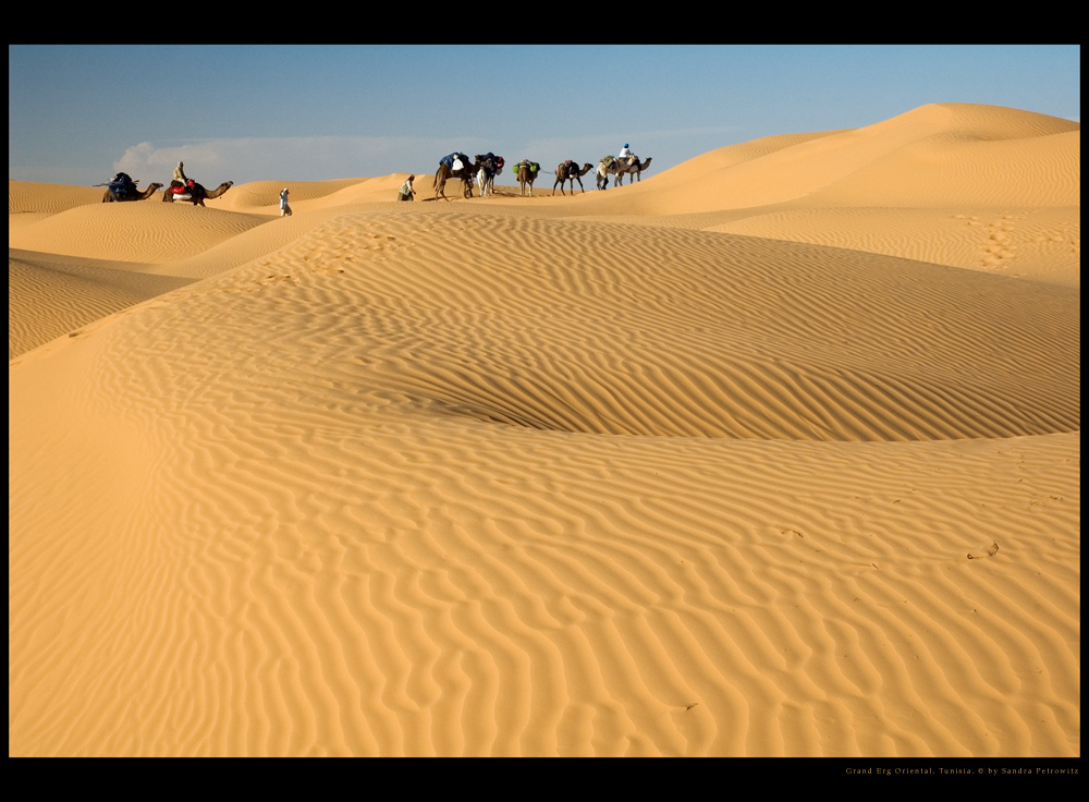 ___karawane___ Foto & Bild | landschaft, wüste, natur Bilder auf ...