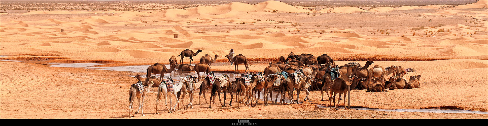 * Karawane * Foto & Bild | africa, on the road, around the world Bilder ...