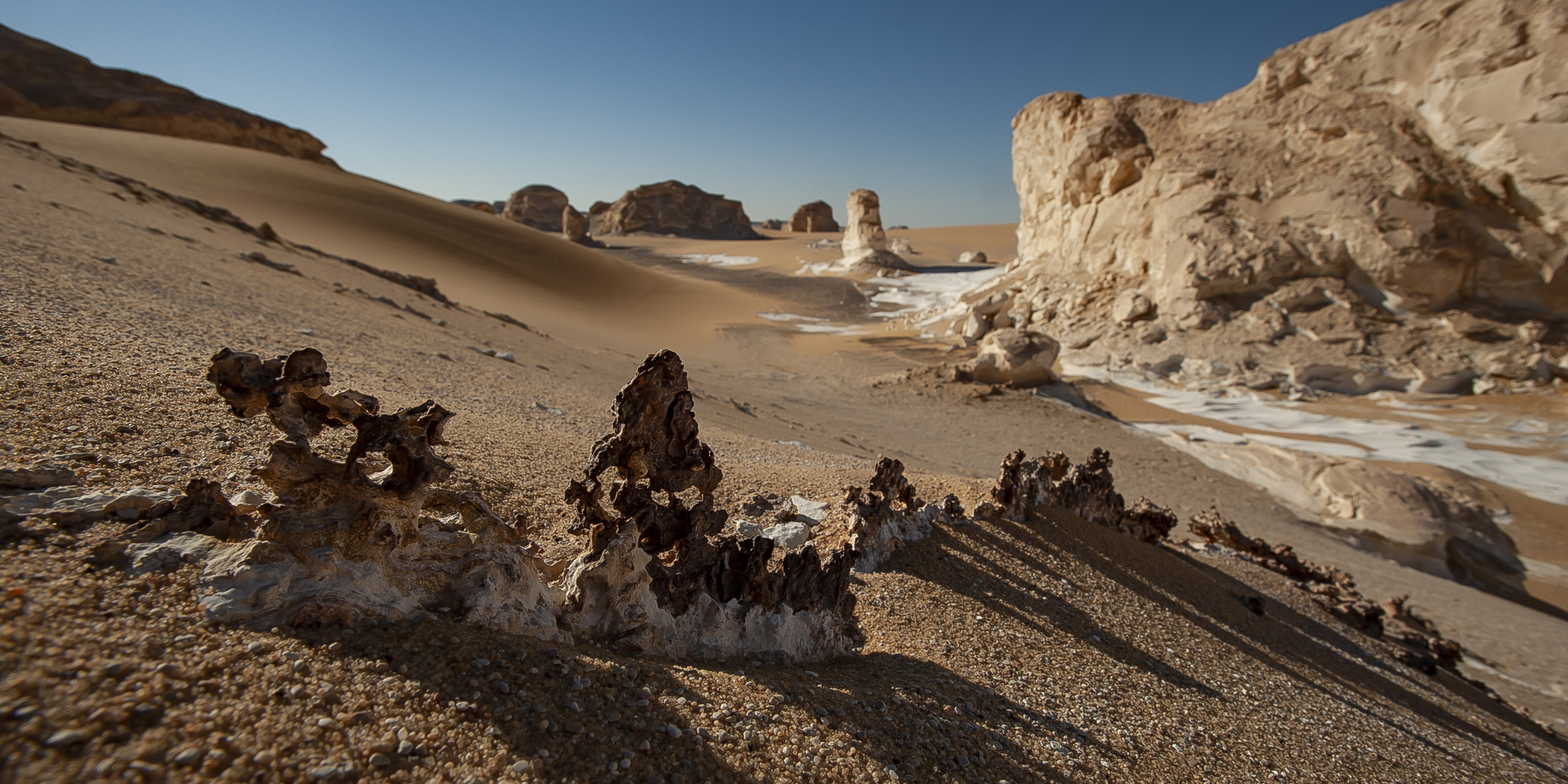 Karawane Foto & Bild | landschaft, wüste, sahara Bilder auf fotocommunity