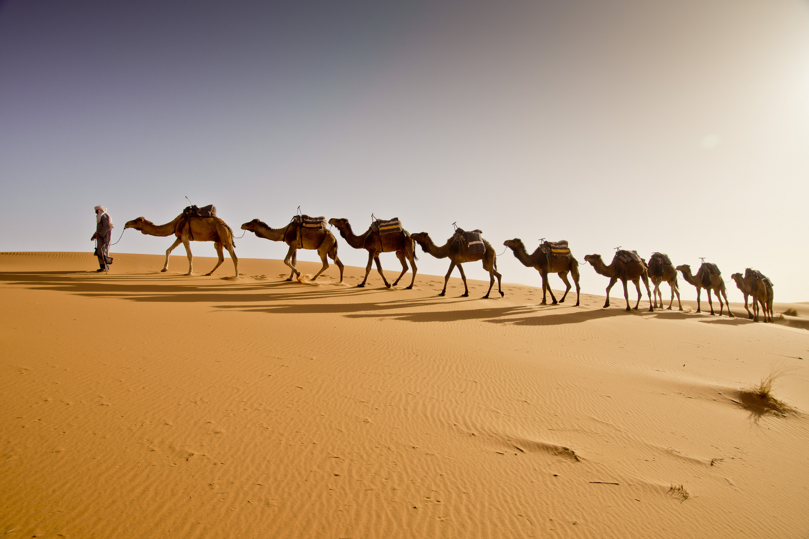 Karawane in der Sahara, Erg Chebbi, Merzouga - 3 Foto & Bild | africa ...