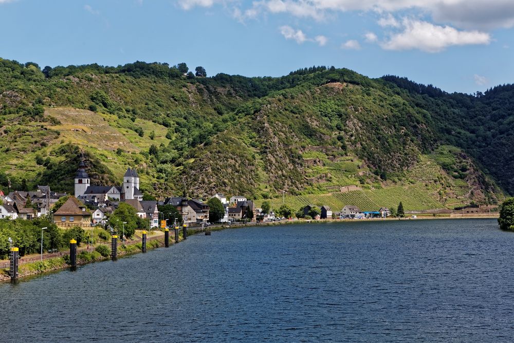 Karden im Sonnenschein Foto & Bild | deutschland, europe, rheinland ...