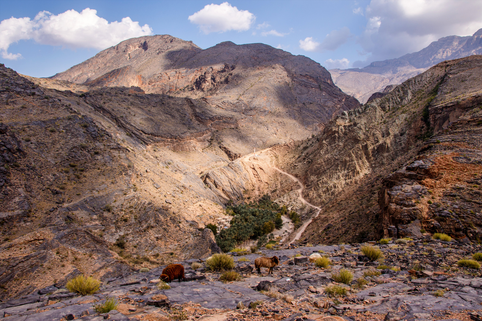 Karge Gegend... Foto & Bild | asia, middle east, oman Bilder auf ...