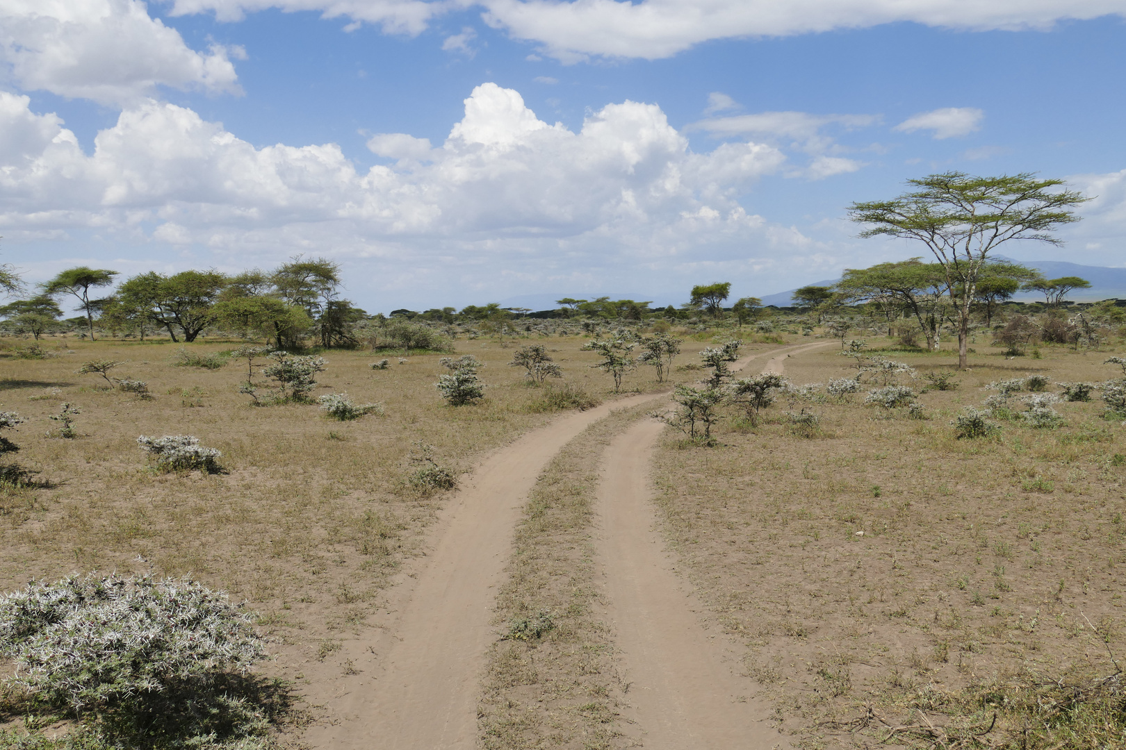 ...karge Landschaft... Foto & Bild | world, afrika, africa Bilder auf ...