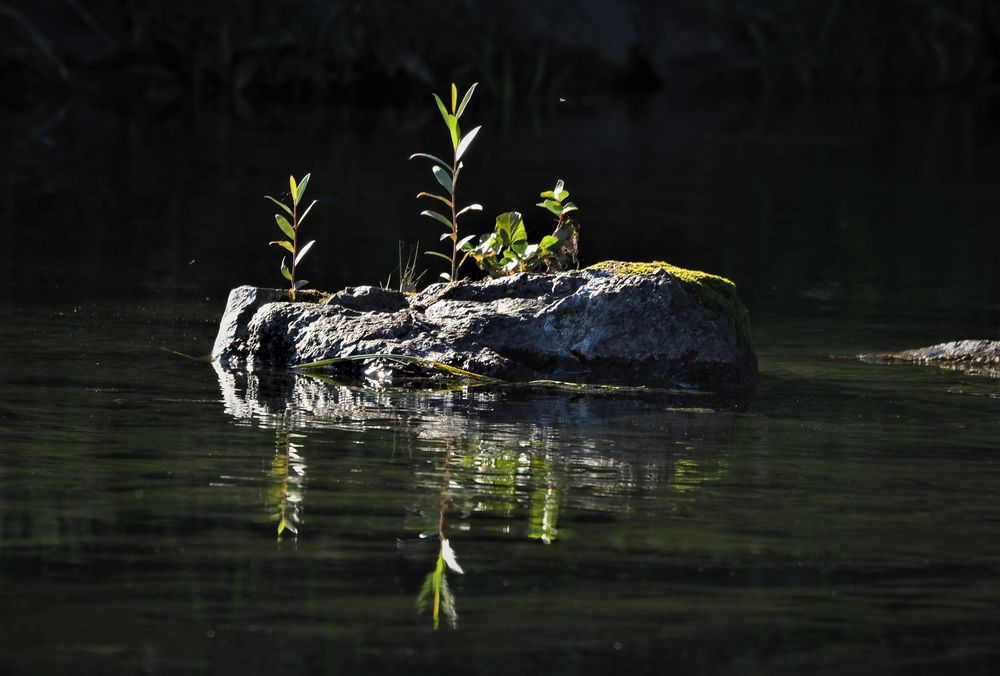 Karger Untergrund Foto & Bild | wasser, natur, landschaft Bilder auf ...