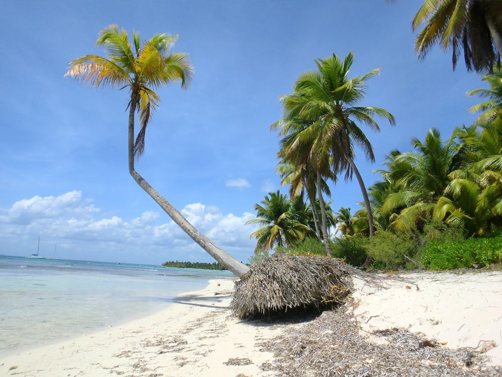 Karibik 1 Foto & Bild | landschaft, meer & strand, natur Bilder auf ...