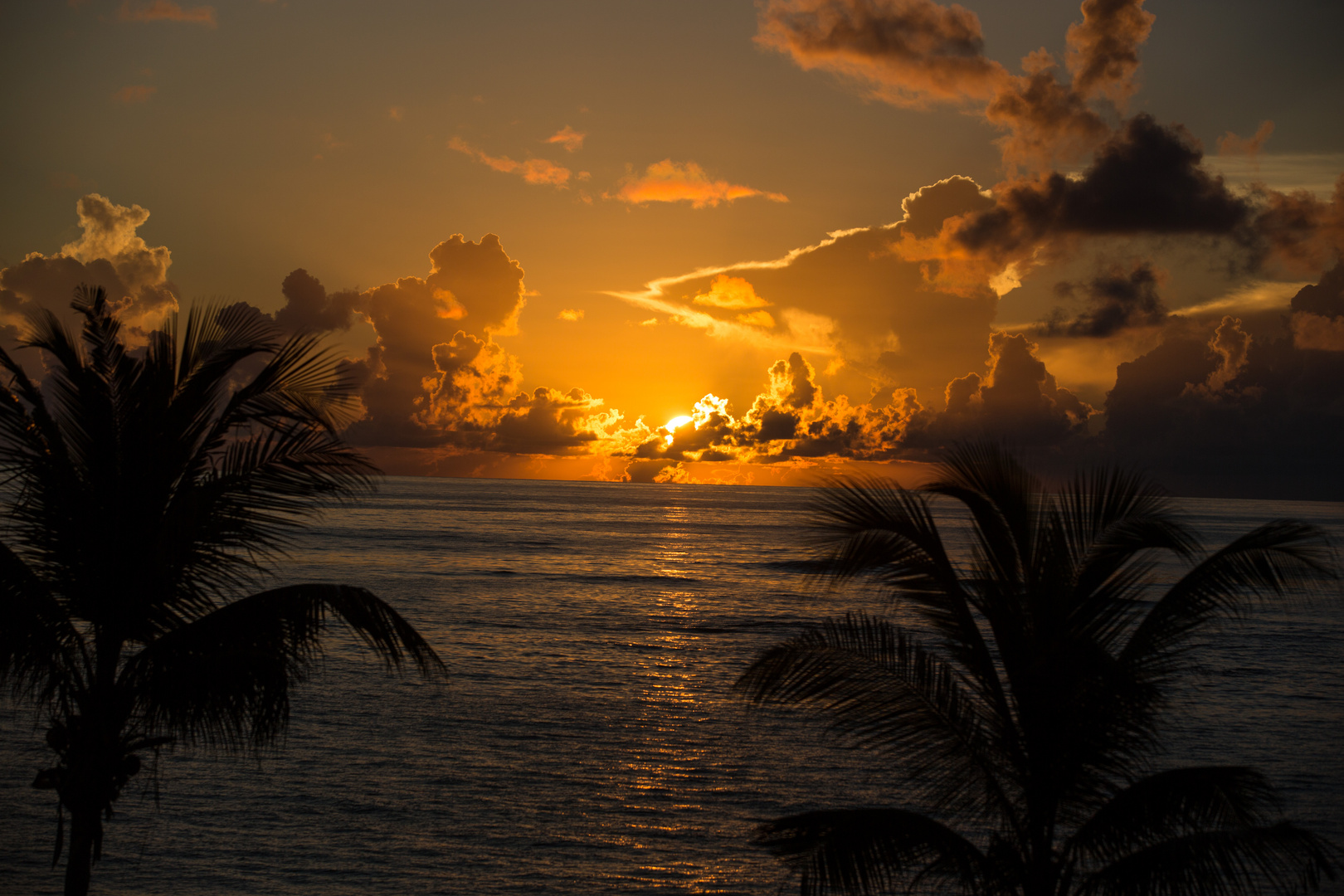 Karibik Foto & Bild | fotos, world, outdoor Bilder auf fotocommunity