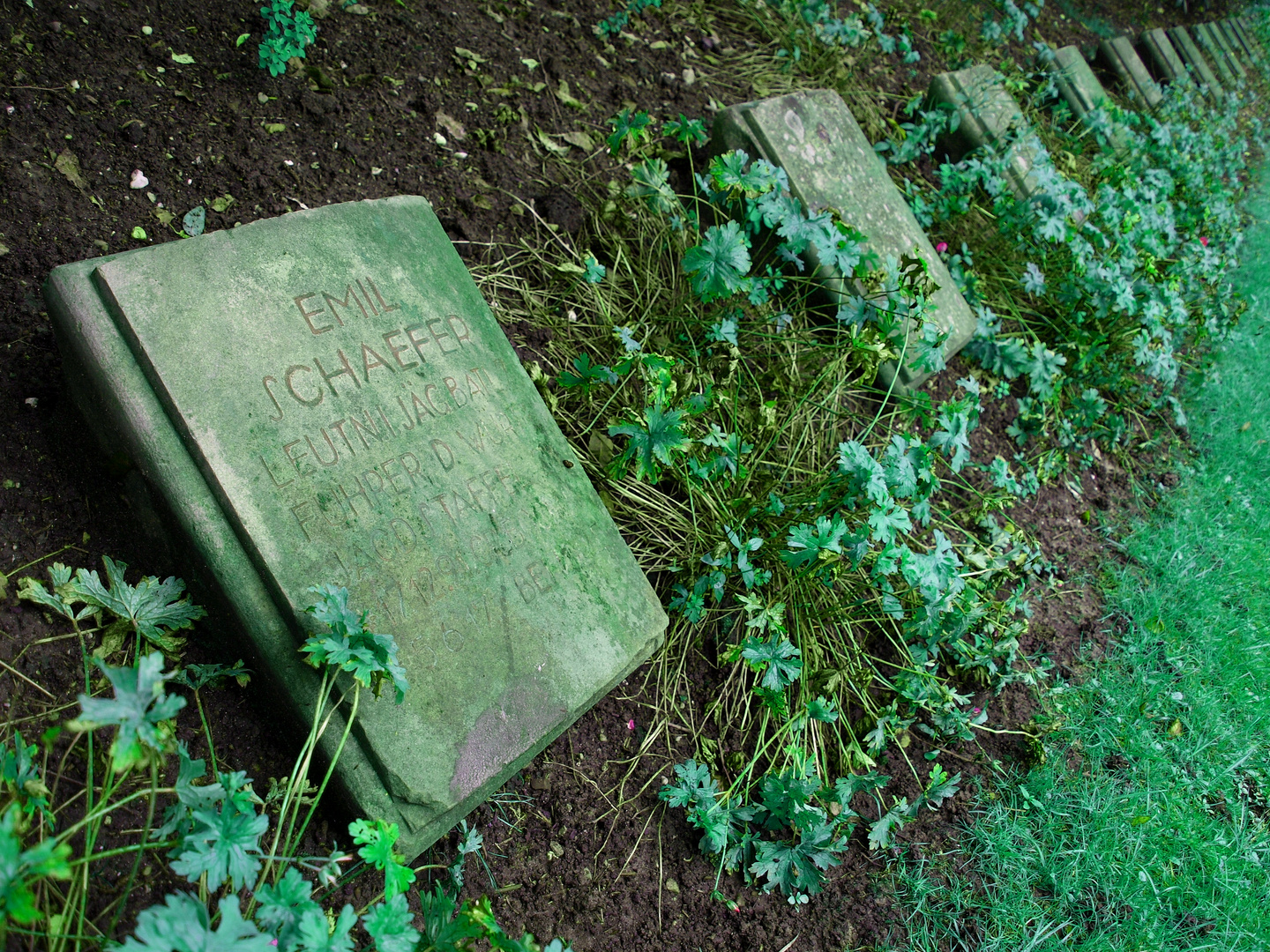 Karl Emil Schäfer Foto & Bild | trauer, trauer um öffentliche personen ...