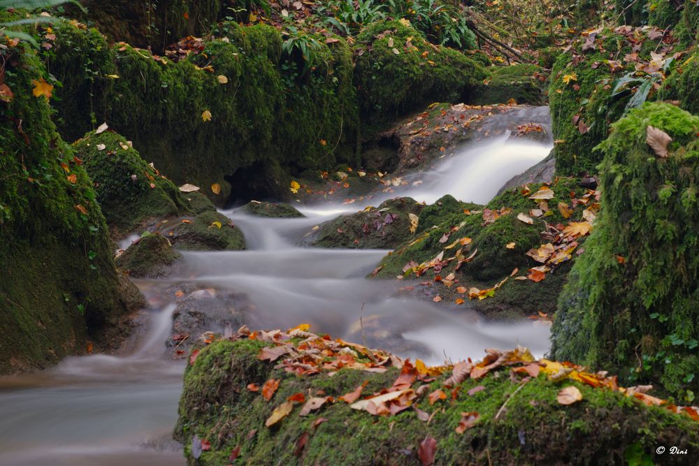 Kaskade im Herbst Foto & Bild | landschaft, jahreszeiten, herbst Bilder ...