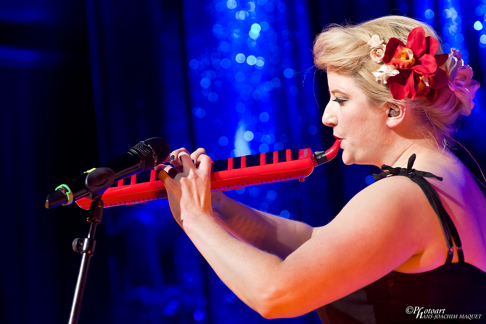 Kate Mullins Foto & Bild | jazztage dd 17 Bilder auf fotocommunity