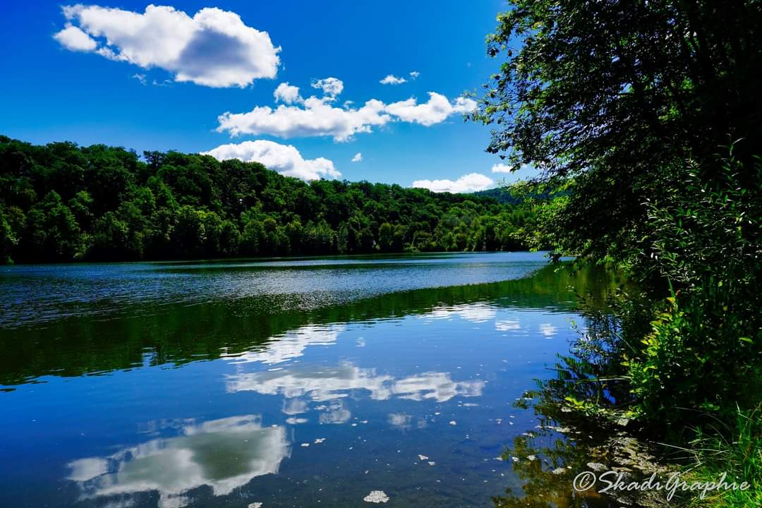 Katzenbachsee Foto & Bild | projekte, dienstag ist spiegeltag, fotos ...