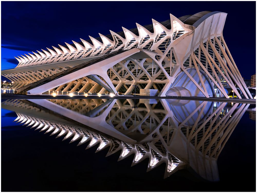 Kauri-Muschel Foto & Bild | spain, architektur, valencia Bilder auf ...