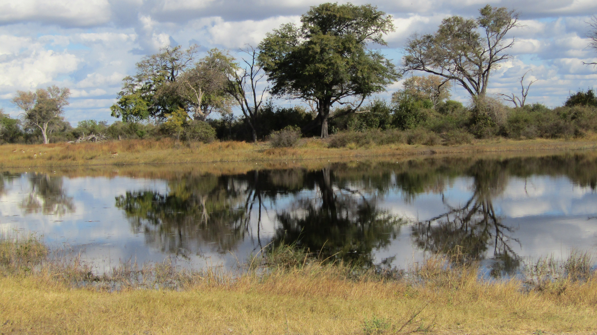 Kavango.... Foto & Bild | projekte, dienstag ist spiegeltag, thementage ...