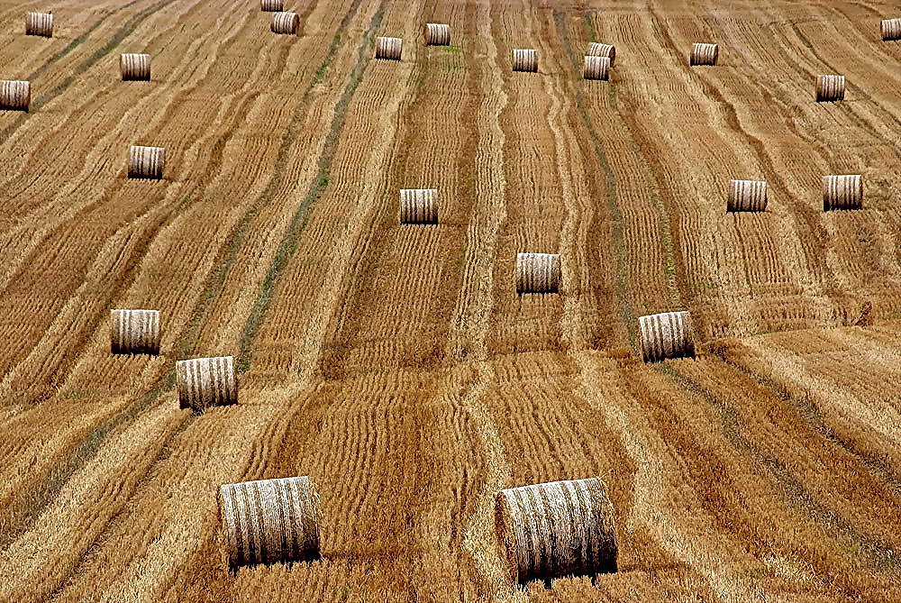 Keep on Rolling Foto & Bild | deutschland, europe, saarland Bilder auf ...