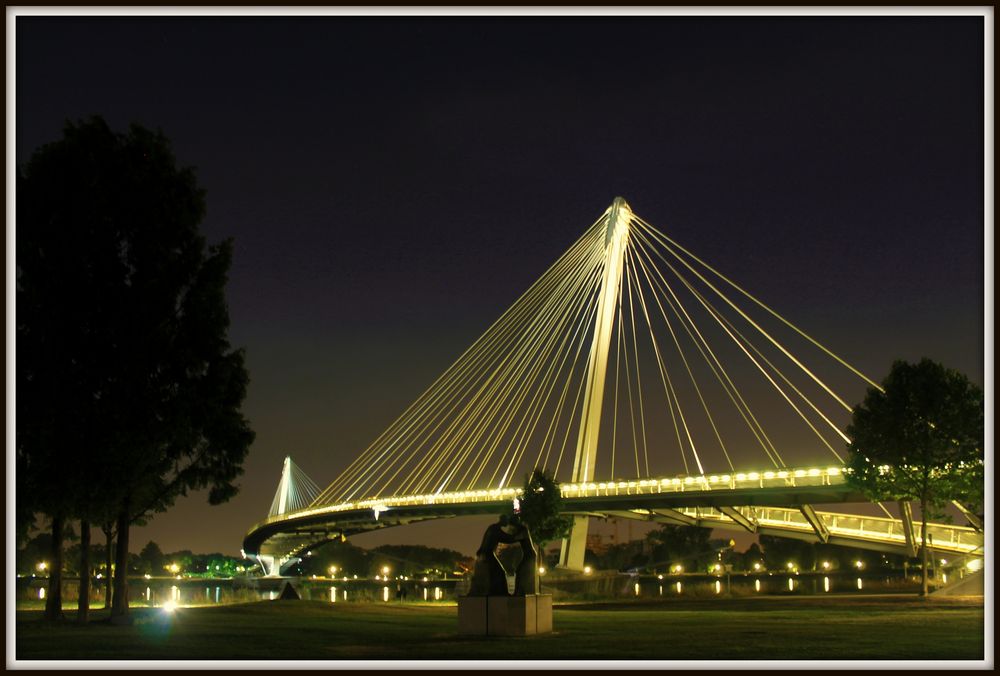 Kehl am Rhein - Passerelle des deux Rives 3 Foto & Bild | architektur ...