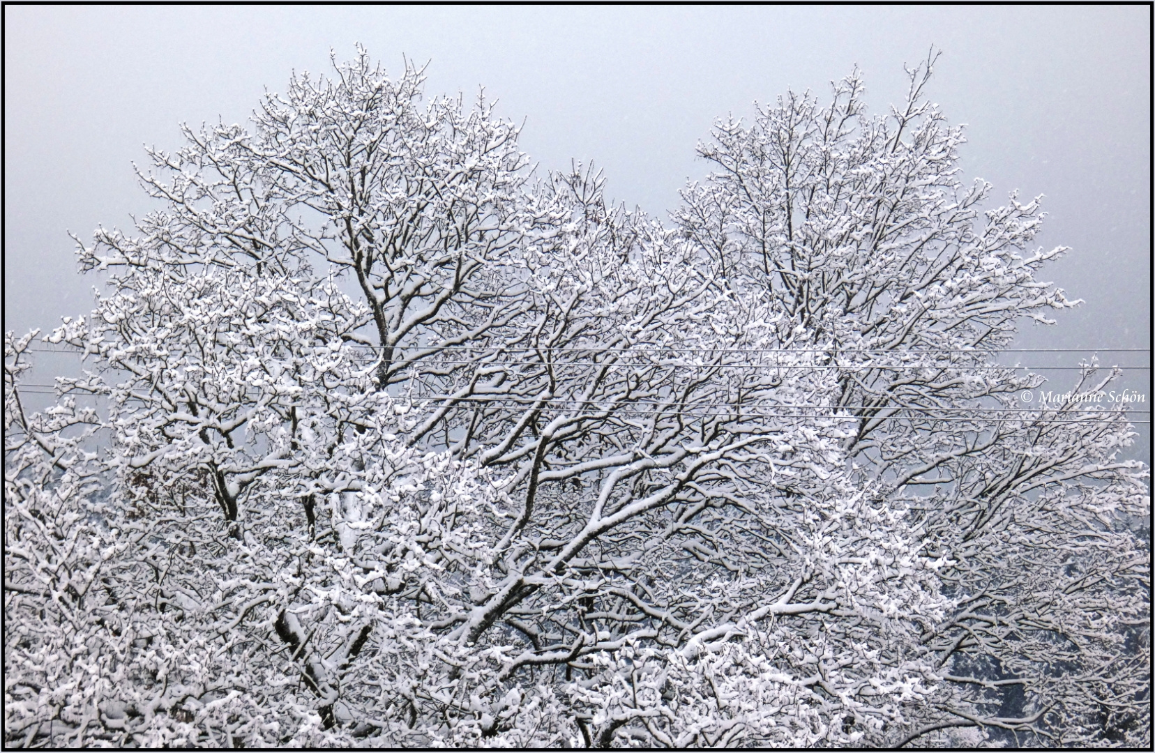Kein Wunder... Foto & Bild | spezial, dokumentation, winter Bilder auf ...