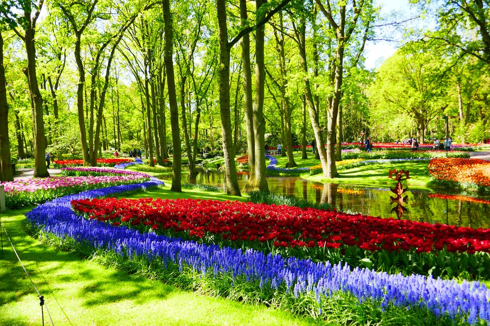 Keukenhof Foto & Bild | landschaft, garten- & parklandschaften, wasser ...