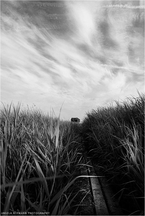 kiekkasten Foto & Bild | monochrom, bearbeitungs - techniken, alternative galerie Bilder auf ...