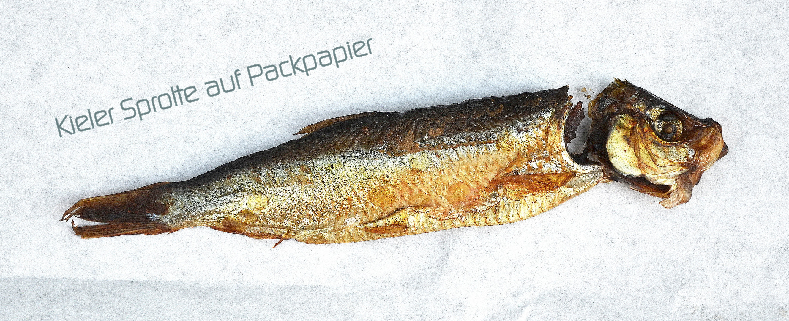 Kieler Sprotte Foto & Bild | tiere, wildlife, fische Bilder auf ...