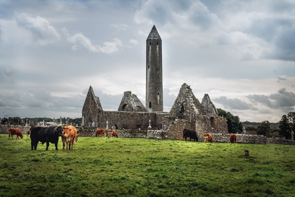 Kilmacduagh Abbey Foto & Bild | architektur, landschaft, lebensräume ...