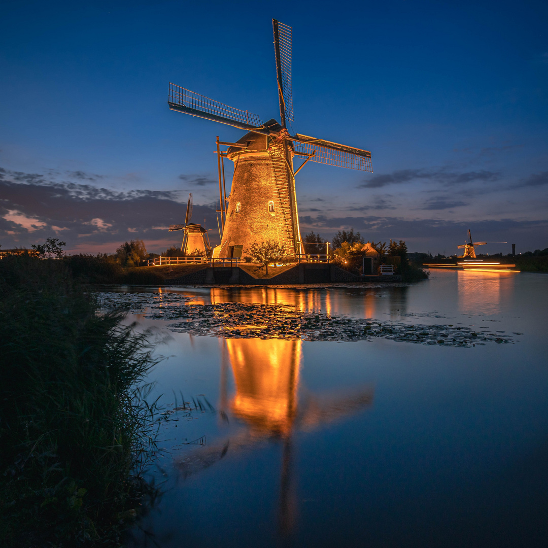 Kinderdijk 2022 Foto & Bild | architektur, ländliche architektur, fotos ...