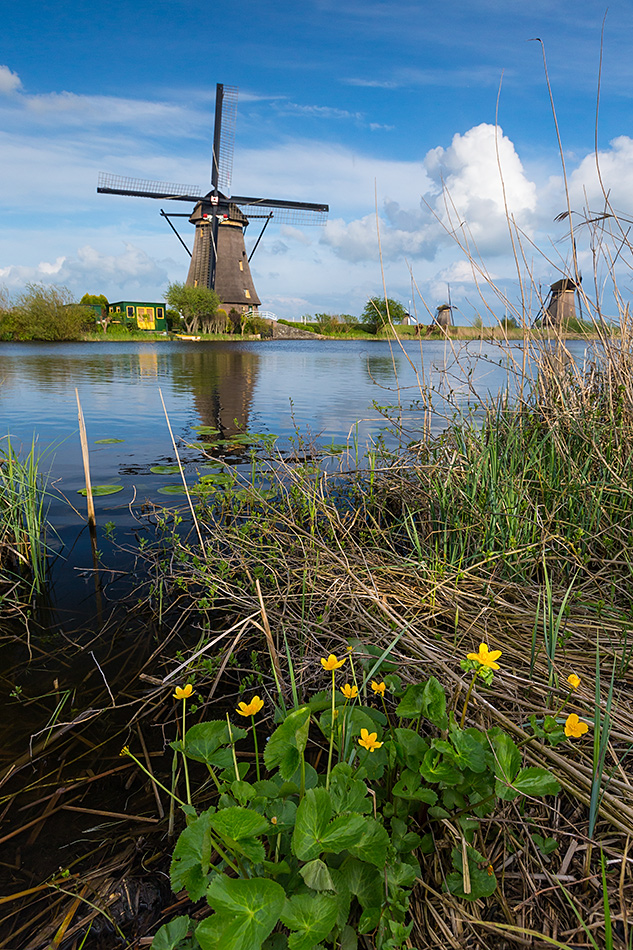 Kinderdijk Foto & Bild | europe, benelux, netherlands Bilder auf ...