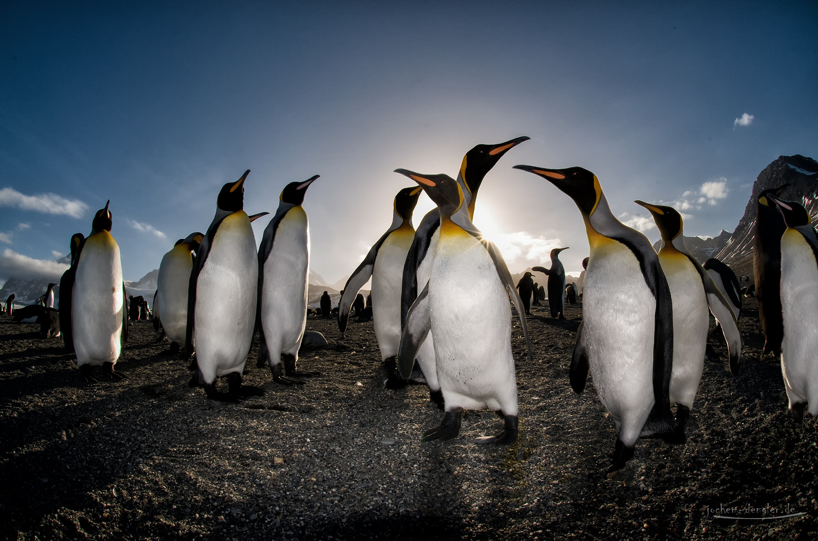 King_ping_ Gegenlicht Foto & Bild | world, natur, landschaft Bilder auf ...