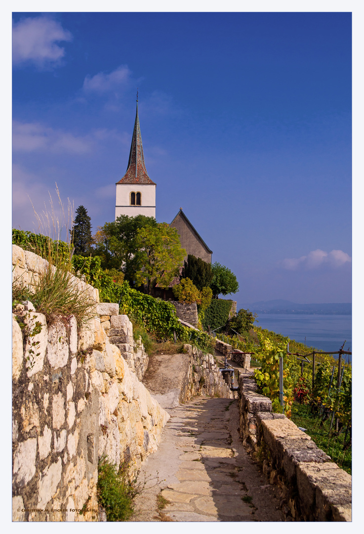 Kirche Ligerz Foto & Bild | architektur, motive, sakralbauten Bilder ...