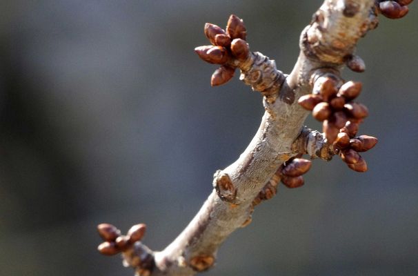 Jahreszeiten Bilder & Fotos - Vier Jahreszeiten