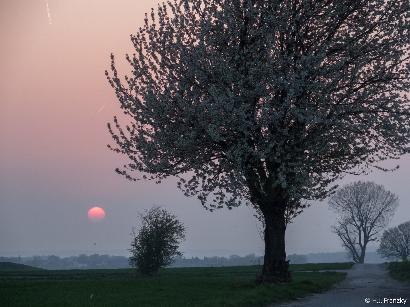Kirschblüte-4230174 Foto & Bild | landschaft, projekte, Äcker, felder ...