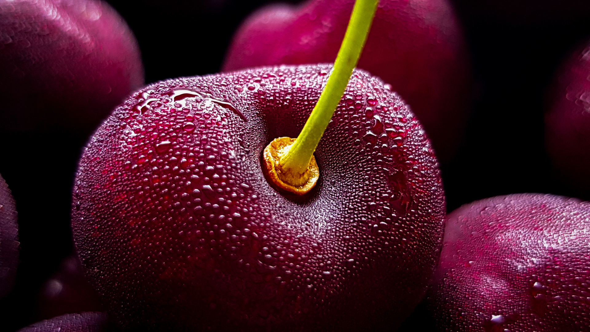 Kirsche Foto & Bild | fotos, rot, makro Bilder auf fotocommunity