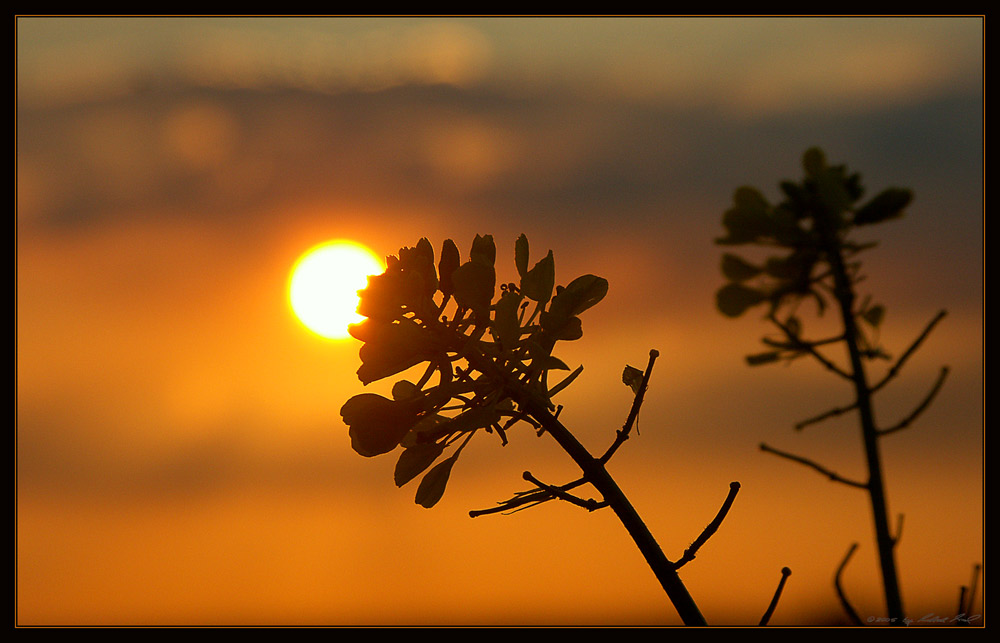 Kitschig...? Foto & Bild | sonnenaufgänge, himmel & universum, natur ...