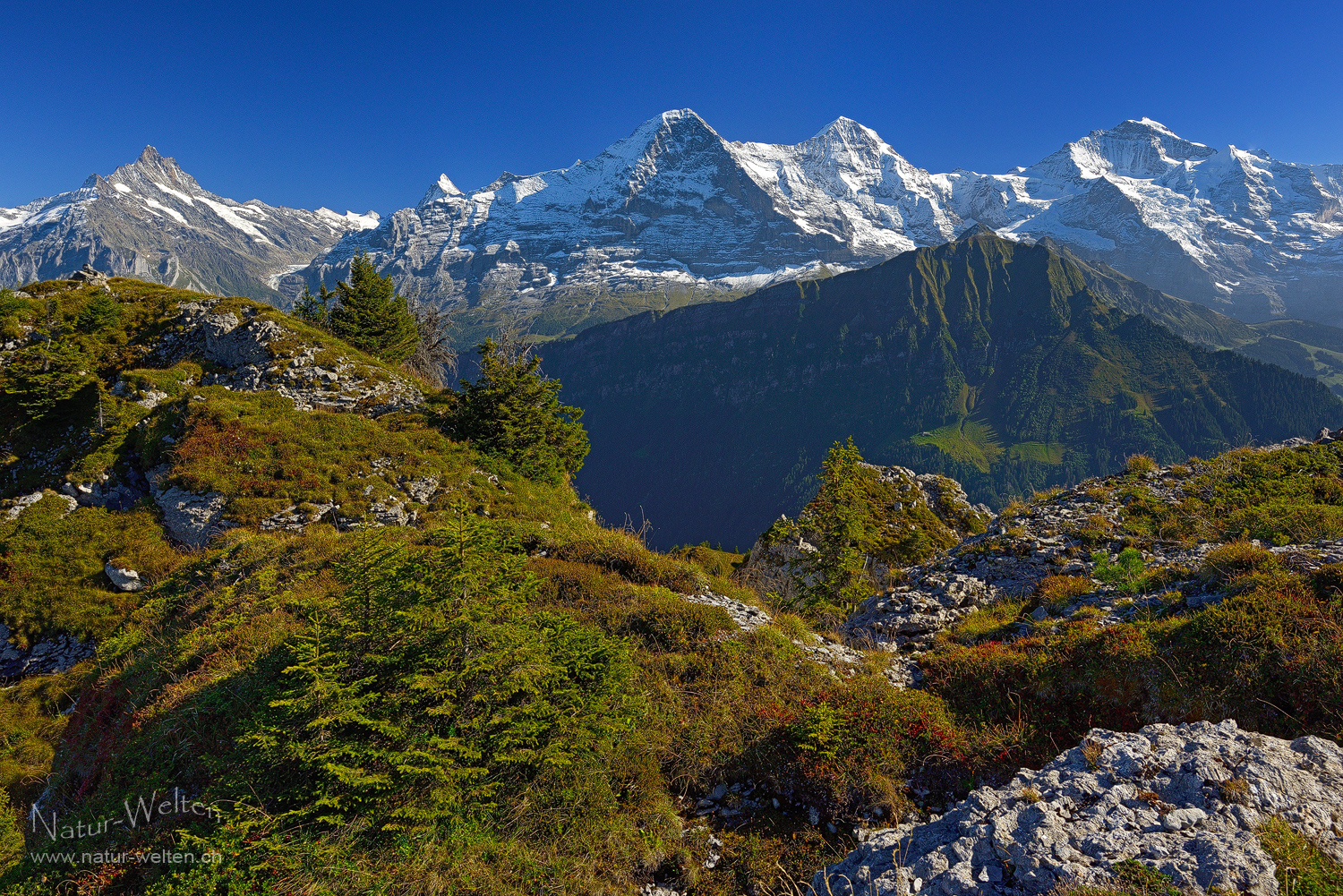 Klare Sicht Foto & Bild | world, natur, herbst Bilder auf fotocommunity