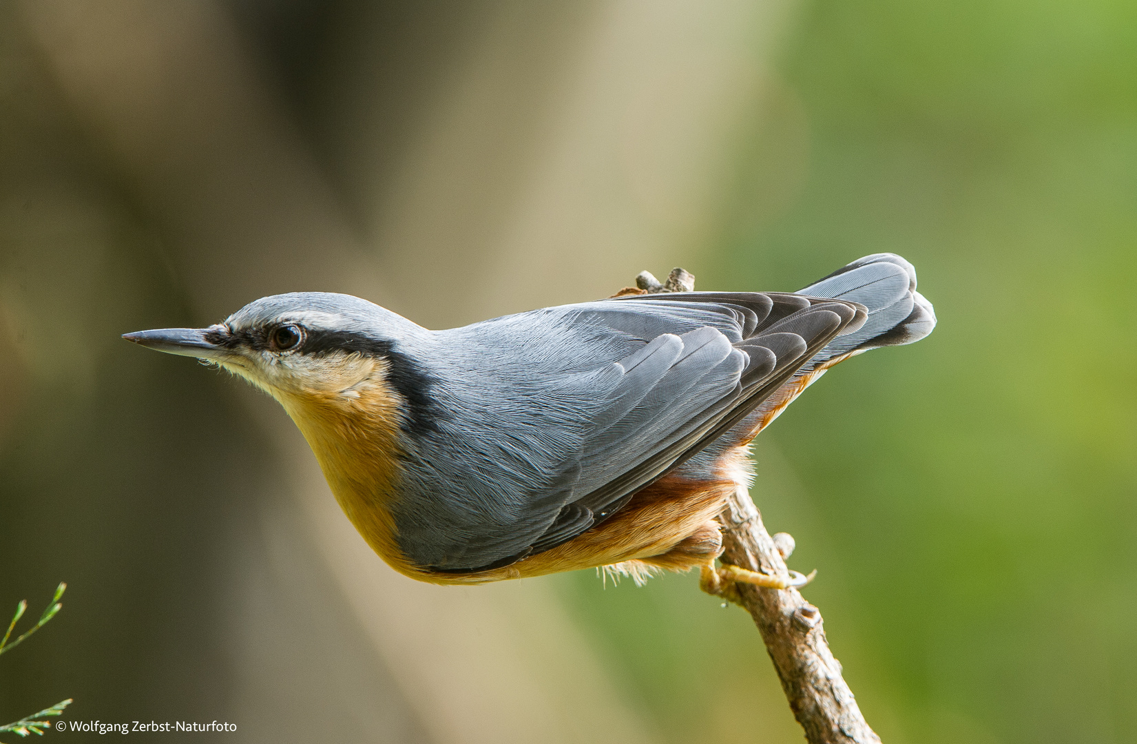 KLeiber --- Foto & Bild | fotos, winter, frühling Bilder auf fotocommunity