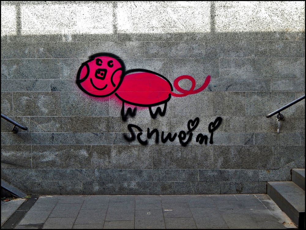 klein, aber fein... das Schwein(i) Foto & Bild | monatswettbewerbe ...